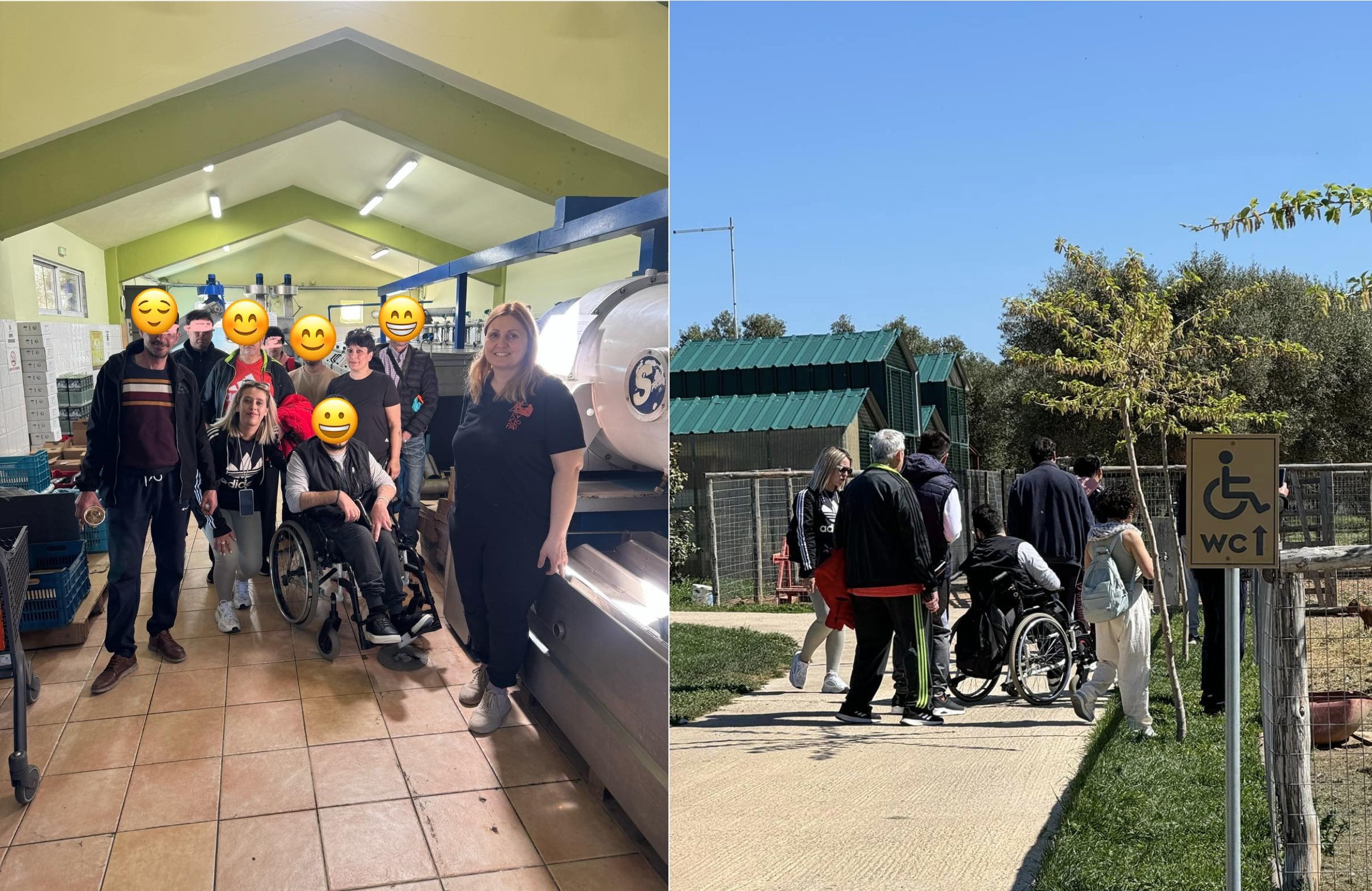 We are proud that our olive mill offers access to wheelchairs and ...