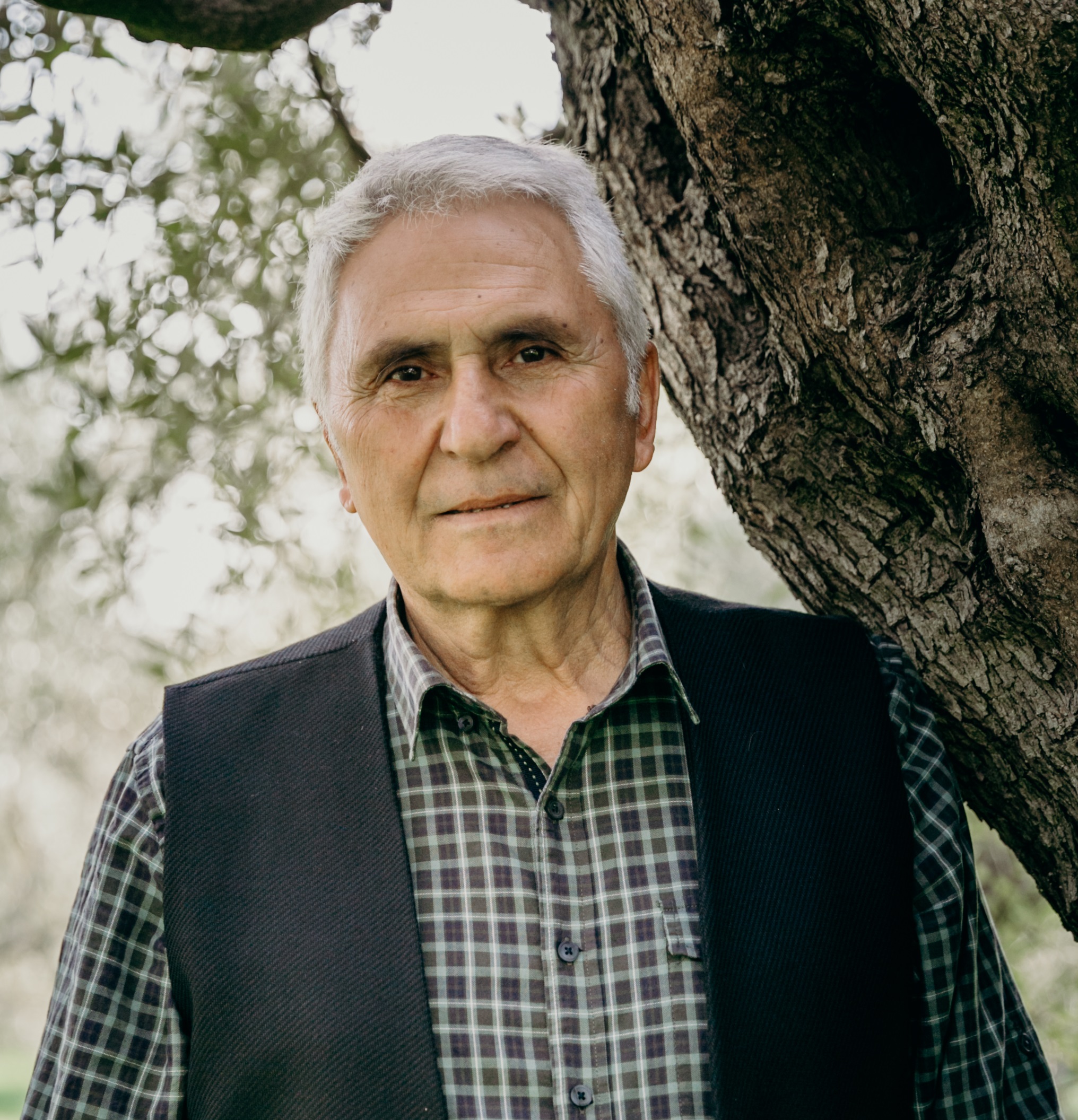 Argiris Kelidis - Kyklopas | Greek Premium extra virgin olive oil and ...